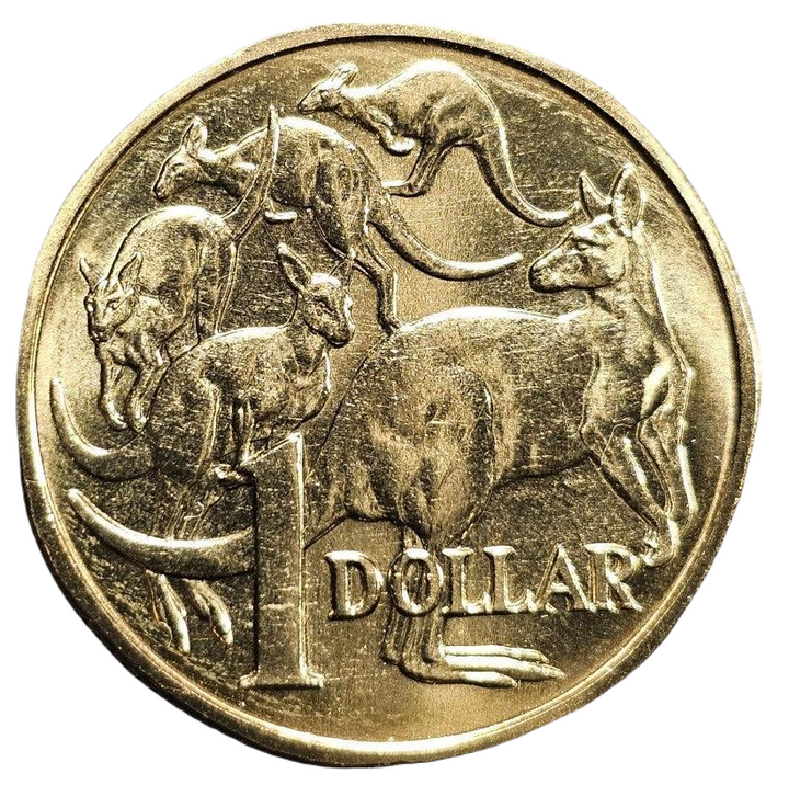 Australian 1 Dollar Coins – Loose Change Coins